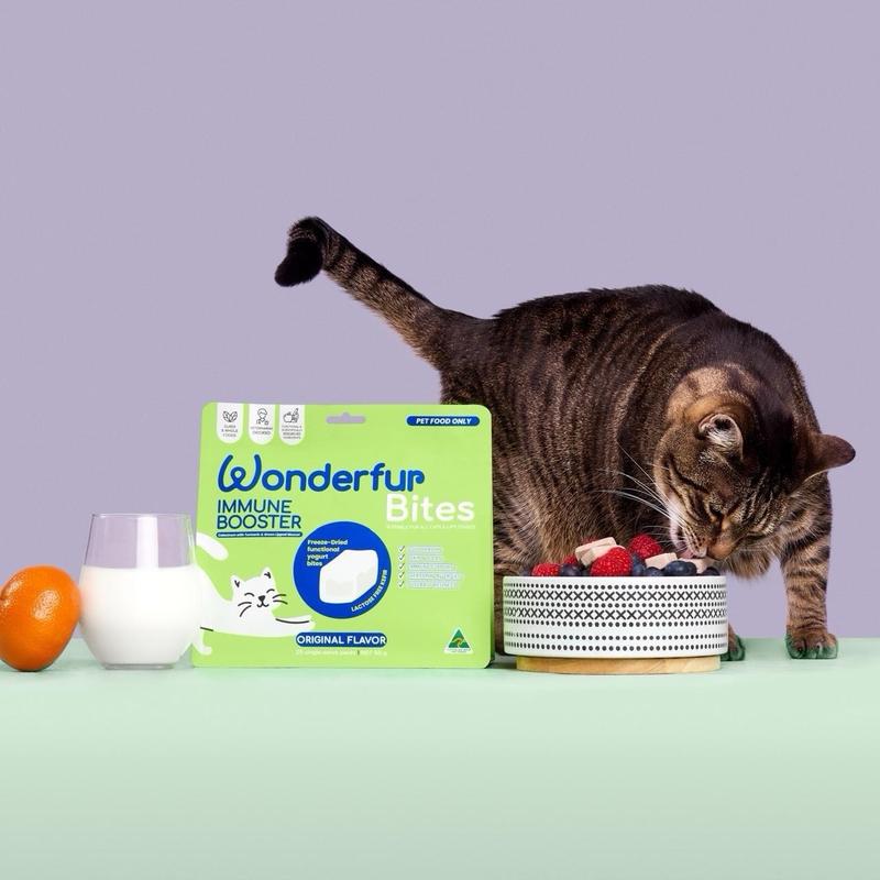 Wonderfur Bites Immune Booster for Cats - TikTok Shop Singapore