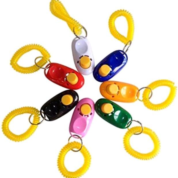 Parrot Training Clicker With Wrist Band - TikTok Shop Malaysia