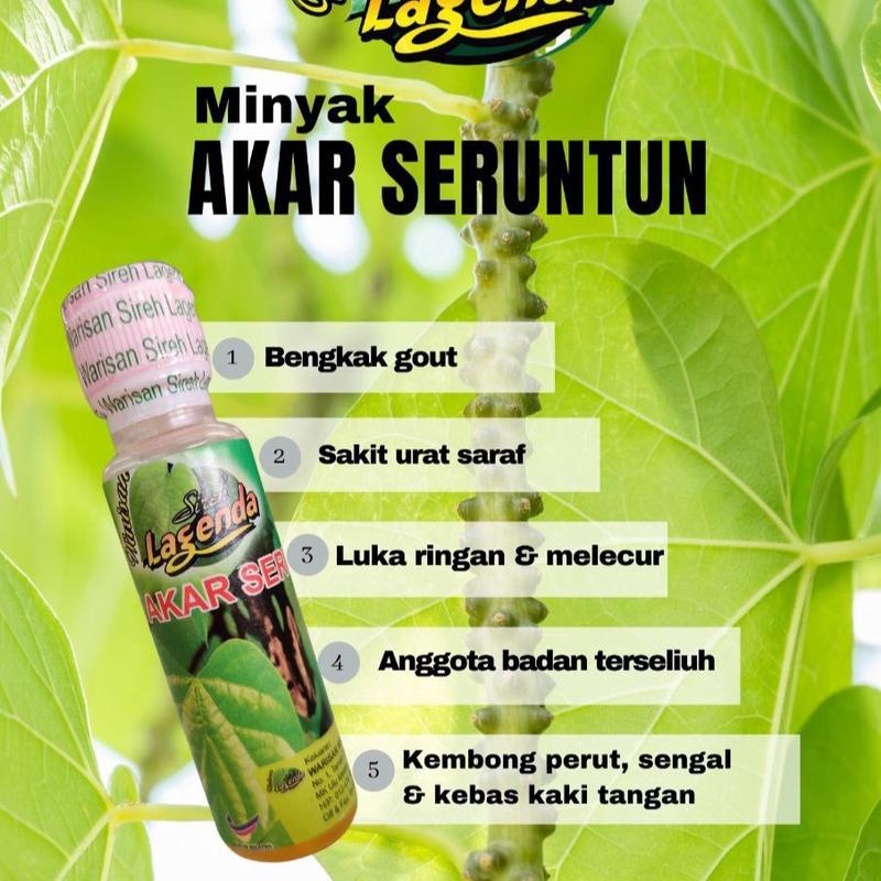Minyak Akar Seruntun Warisan Sireh Lagenda untuk Bengkak Gou - TikTok ...