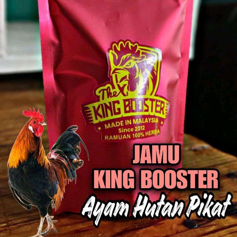 " SUPER PROMO " ORIGINAL KING BOOSTER AYAM HUTAN ORI / LAPIS - TikTok ...