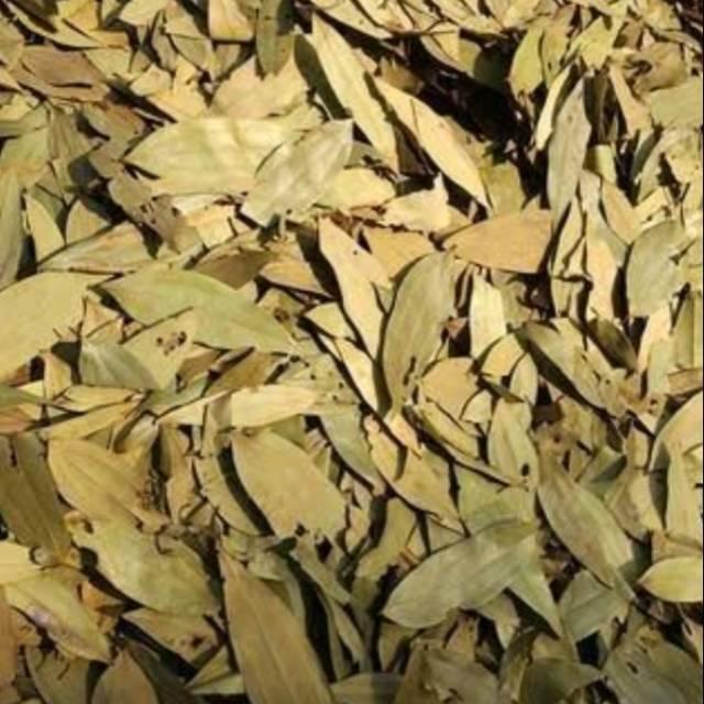 30g 100g 500g Dried Bay Leaves Daun Salam Daun Kayu Manis - TikTok Shop ...