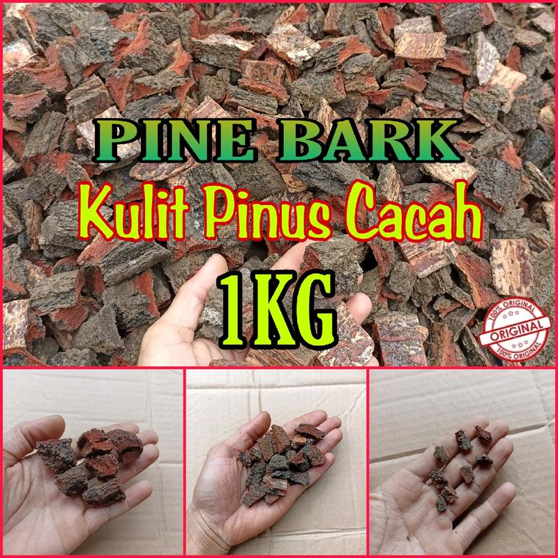 1Kg Kulit Pinus Cacah Pine Bark Media Tanam Tanaman Anggrek Dan - Shop | Tokopedia