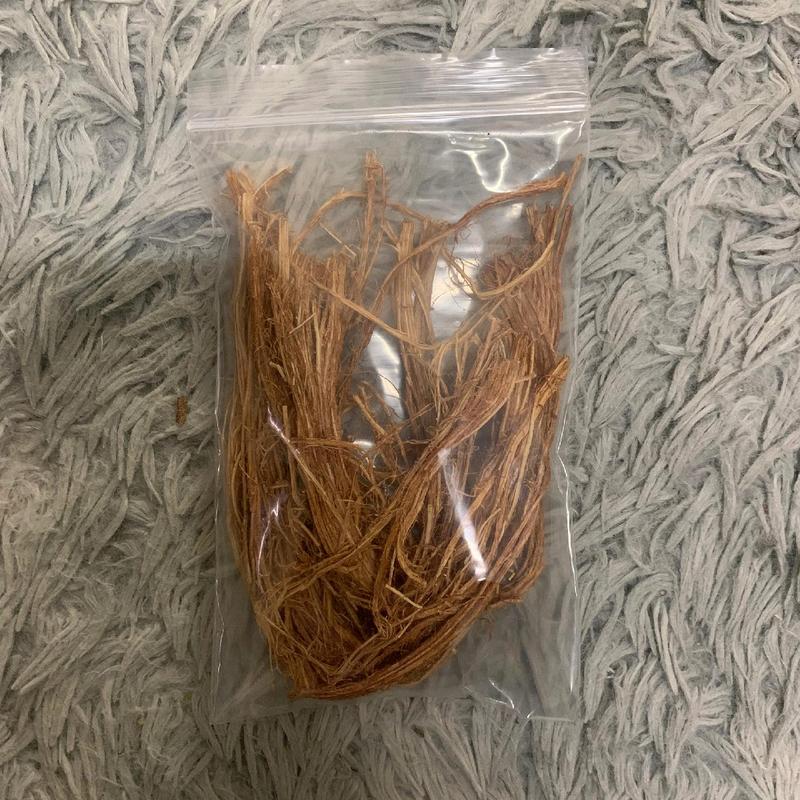 Akar Sintok Atau Akar Beluru Garden - TikTok Shop Malaysia