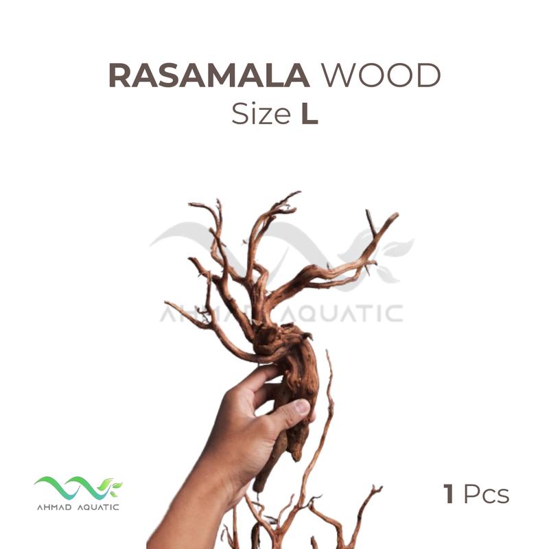 Akar Kayu Rasamala ukuran L Hiasan Aquarium/Aquascape - Shop | Tokopedia