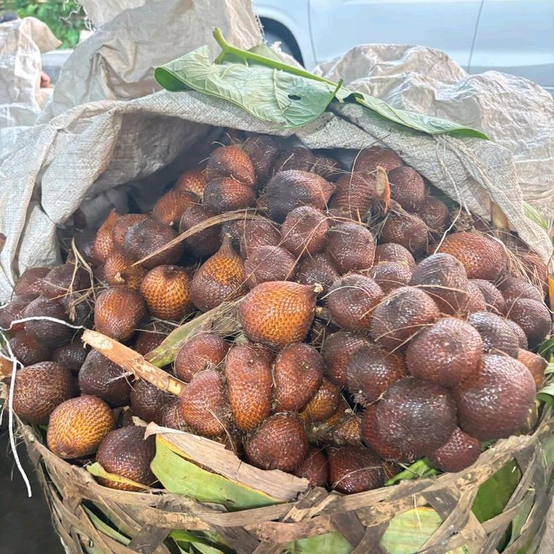 salak gula pasir manis renyah gula pasir - Shop | Tokopedia