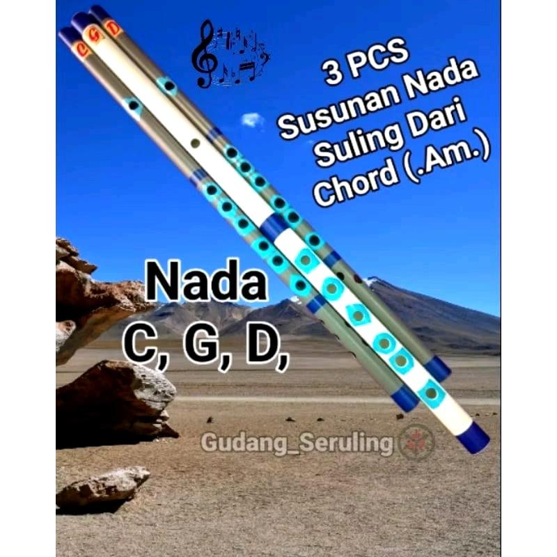 Seruling dangdut, Suling Paralon PVC isi 3 nada, Suling bangsing - Shop | Tokopedia