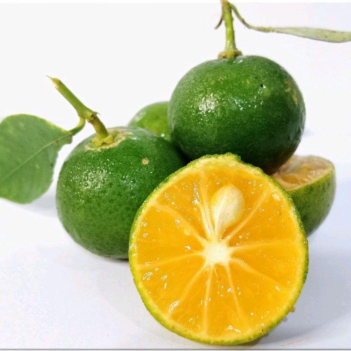 Jeruk Songkit 1 Kg - Jeruk Kasturi / Jeruk Kunci Lemon Cina Jeruk ...