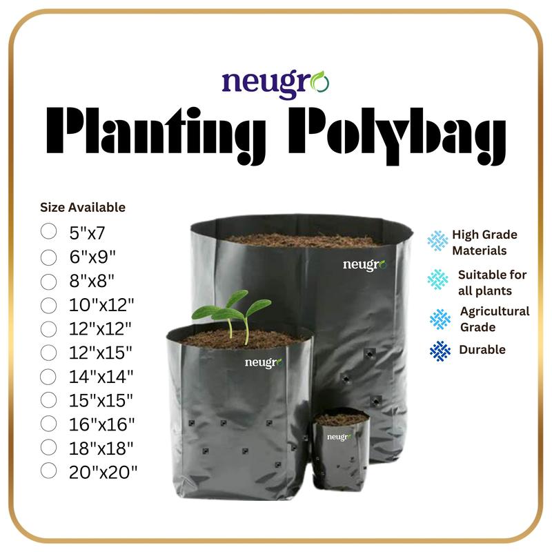 Neugro UV Protection Polybag/ Nursery Plantation/ Fertigatio - TikTok ...