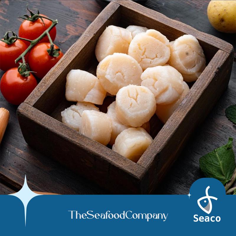 [SEACO] SEACO Canada Scallop 10-20 500gm - TikTok Shop Singapore