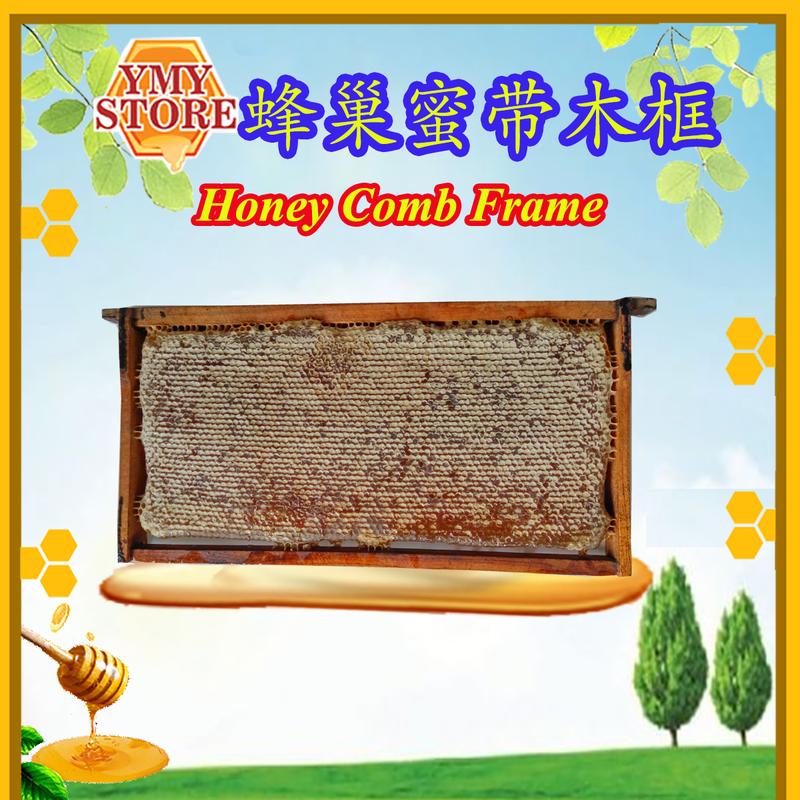 Honey Comb (Golden) / Frame, Mdu Asli Madu Sarang / Keping bingkai ...