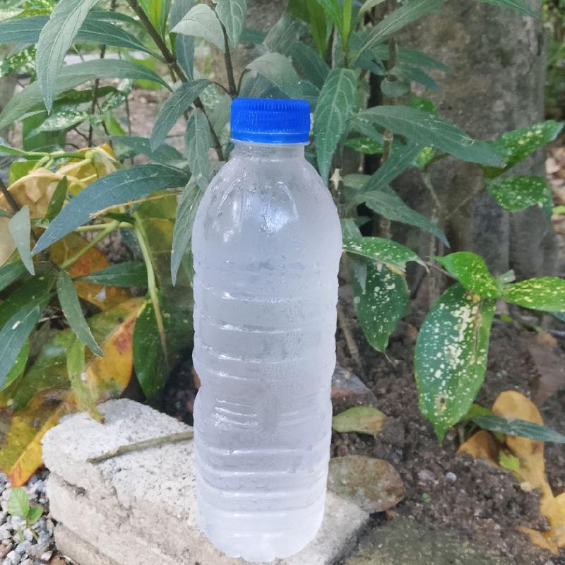 COMBO 3 BOTOL AIR AKAR PELAS - TikTok Shop Malaysia