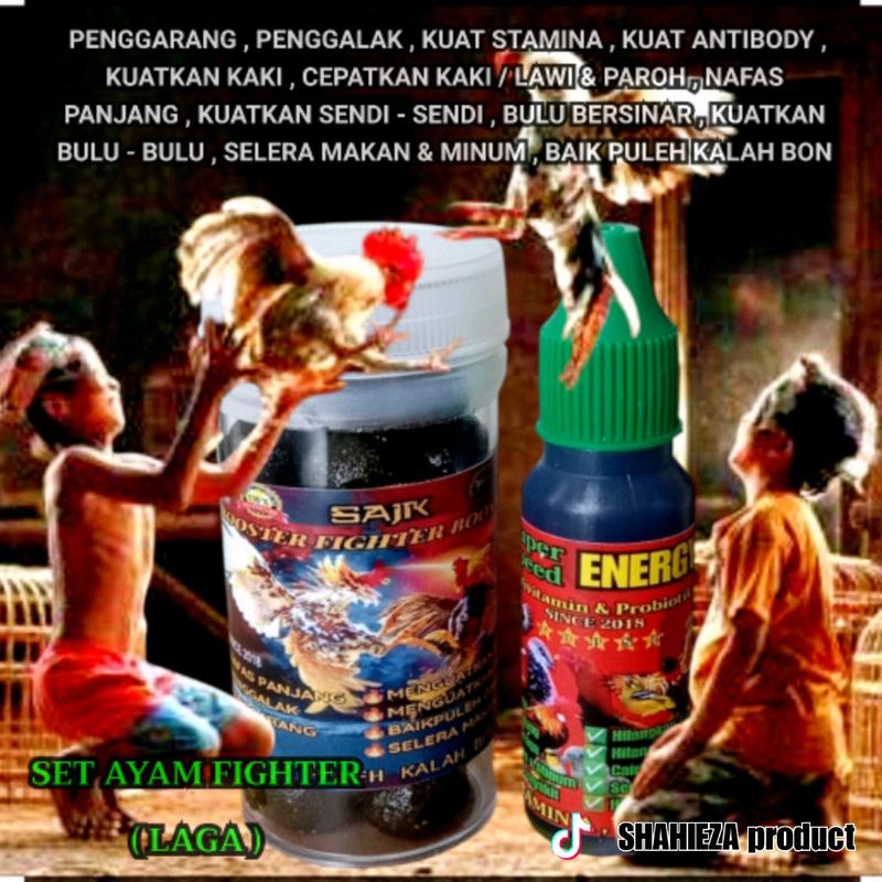 SET AYAM FIGHTER (LAGA) SAJK FIGHTER & SSE - PENGGARANG , PENGGALAK ...