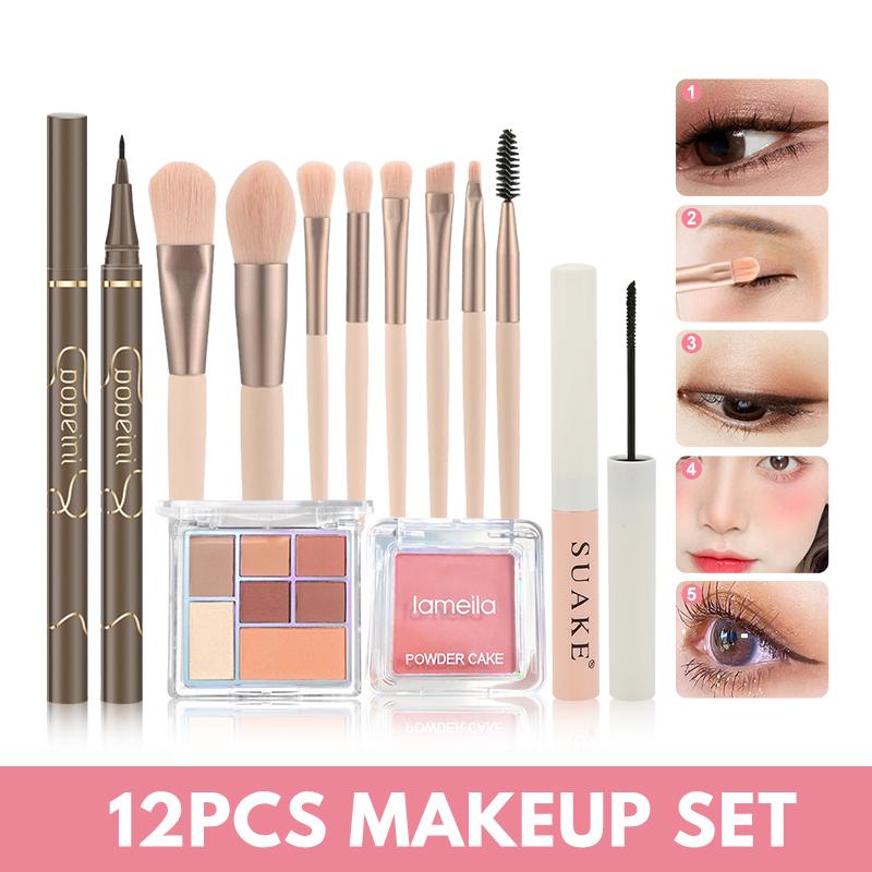 12PCS BRUSH MAKEUP SET Eye Shadow Disk + Eyeliner + Makeup Brush ...