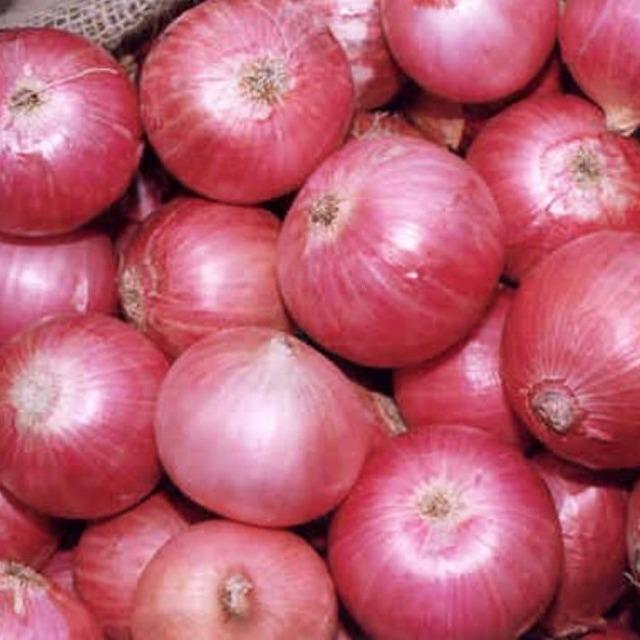 Bawang Merah Bawang Besar India Segar Fresh Hand Picked Red Onion ...