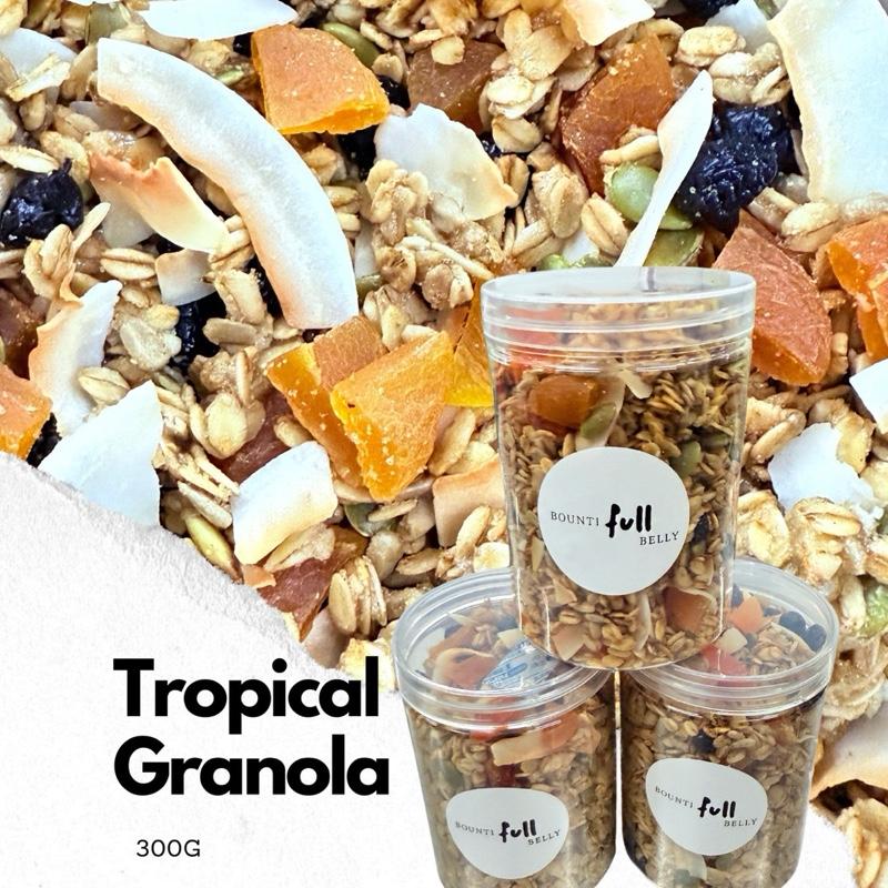 BountifulLBelly Tropical sunrise granola healthy snacks oat granola ...
