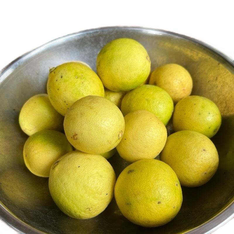 Jeruk Nipis KUNING 1kg fresh | asli no tipu - Shop | Tokopedia