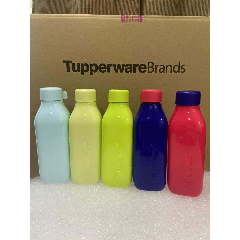 Tupperware Eco Bottle 500ML (1 pc) READY STOCK - TikTok Shop Malaysia