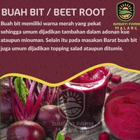 Jual buah bit / beet root / buah penambah darah 1 kg - 500 gram - Kab ...