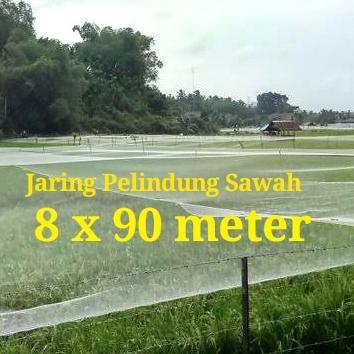 PROMO TERMURAH JARING PADI / JARING PENUTUP SAWAH / JARING EMPRIT ...