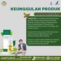 Promo Propolis SM Obat Herbal Untuk Radang Amandel, Sakit Tenggorokan ...
