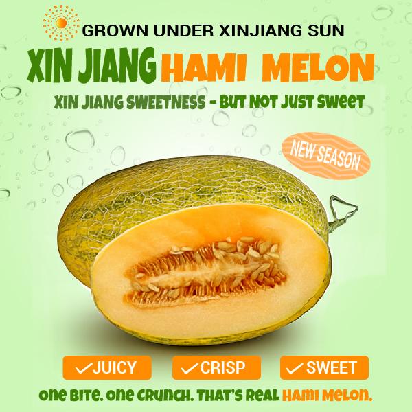 New Season Xinjiang Hami Melon｜Pure melon aroma, naturally sweet ...