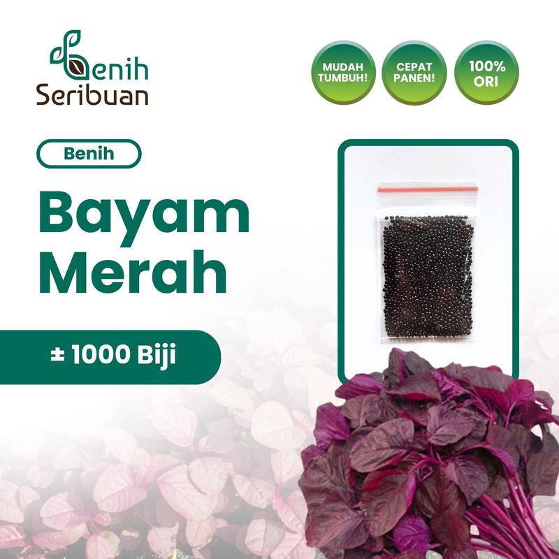 1000 Biji Benih Bayam Merah Red bibit Sayuran Tanaman Sayur Berkualitas ...
