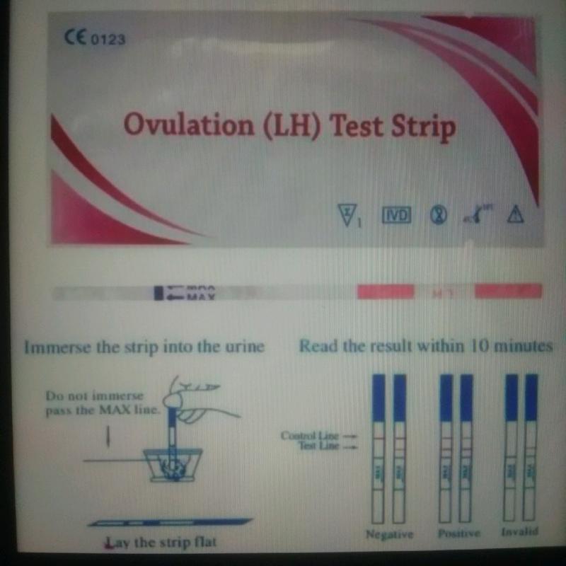 Tes ovulasi tes kesuburan Lh ovulation test strip masa subur - Shop ...
