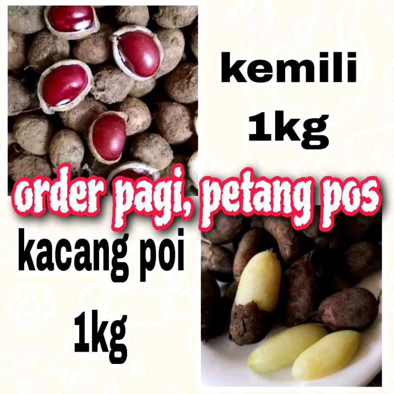 KEMILI KACANG POI stock baru/ NUTS SEDAP 1KG - TikTok Shop Malaysia