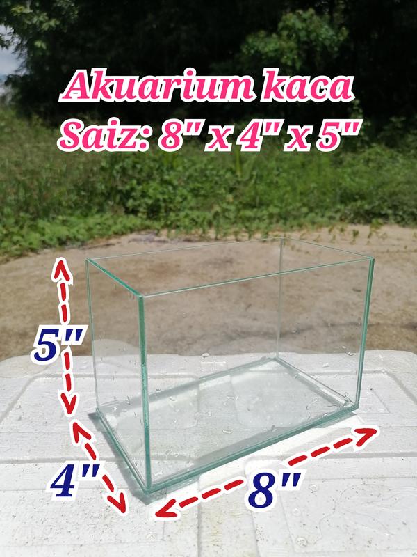 8x4x5 Inci Saiz Akuarium Mini Kaca - TikTok Shop Malaysia