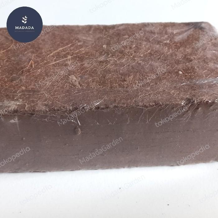 Terlengkap Cocopeat Block Premium Low Ec / Media Tanam Cocopet - Shop ...