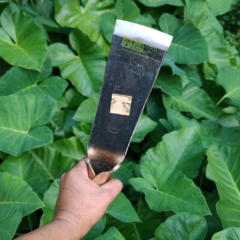 DODOS SAWIT SBL 3 INC MALAYSIA ASLI BONUS BATU ASAH - Shop | Tokopedia