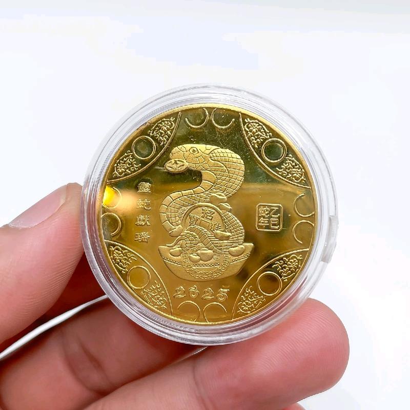 SNAKE LUCKY COIN 2025 - GOOD LUCK AND GOOD FORTUNE - TikTok Shop ...