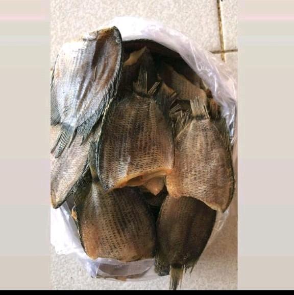 Ikan Sapek Tawa Manangah (1 Kg) - Shop | Tokopedia