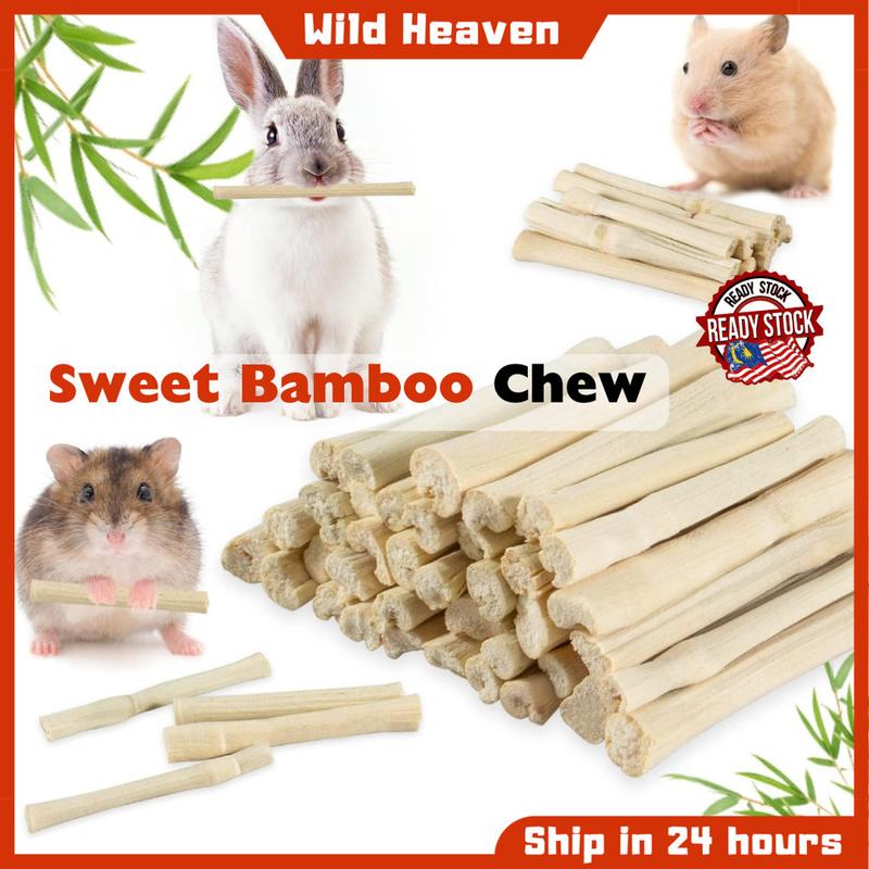 Sweet Bamboo Molar Sticks Chew Stick Natural Pet Toys Chinchilla ...