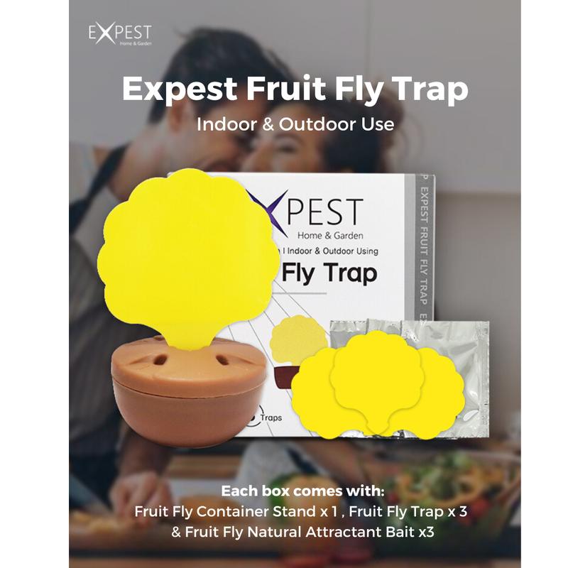 Expest Fruit Fly Trap - [Container & Natural Bait] - TikTok Shop Singapore