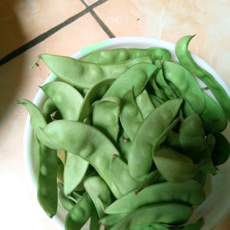 sayur roay/ koro sunda segar - Shop | Tokopedia