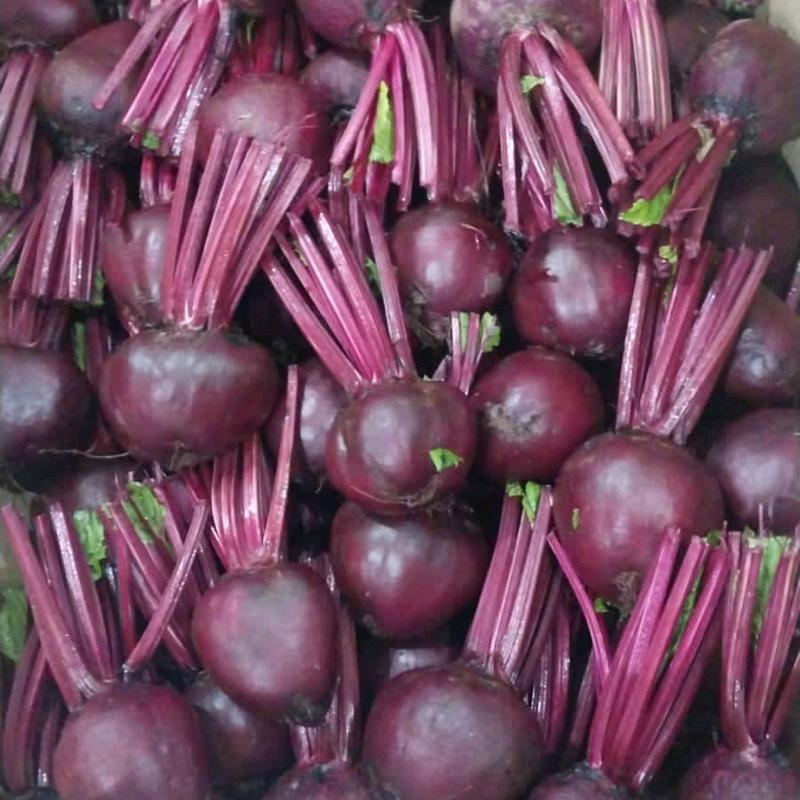 buah bit segar 1 kg untuk penambah darah - Shop | Tokopedia