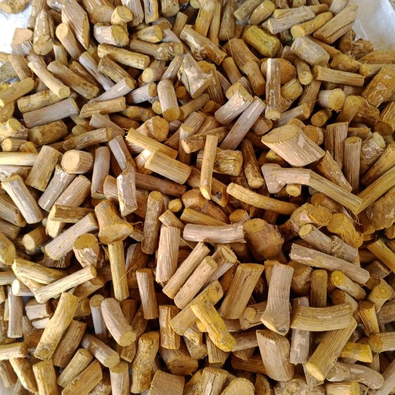 bajakah akar kuning organik 1kg - Shop | Tokopedia