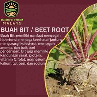 Jual buah bit / beet root / buah penambah darah 1 kg - 500 gram - Kab ...