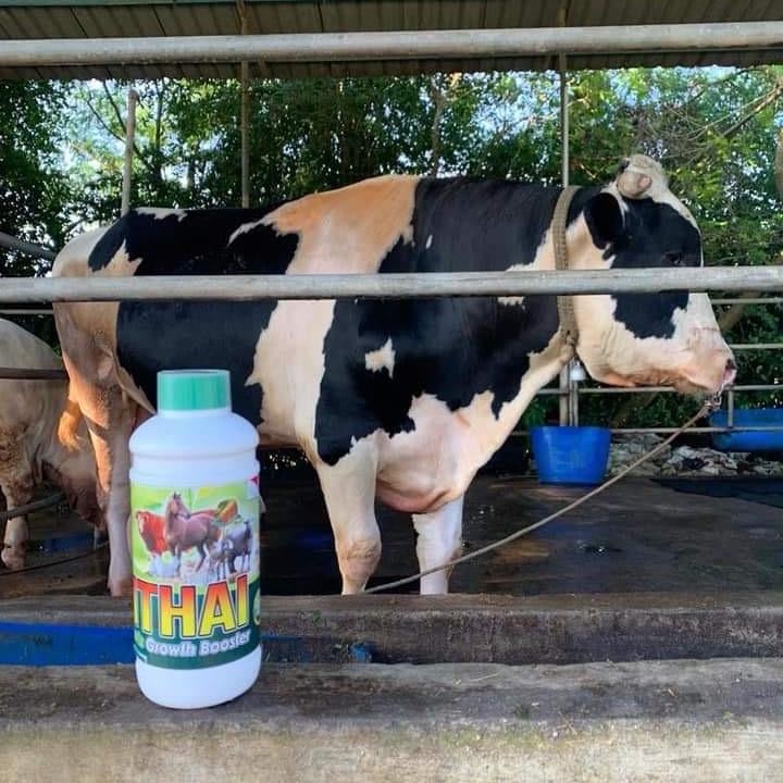 VITHAI GROWTH BOOSTER Vitamin haiwan - TikTok Shop Malaysia