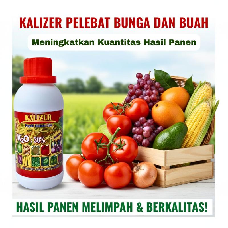 Kalizer - Pupuk Kalium Cair 250ml, Pembesar Buah Anti Rontok, K2O 30% ...
