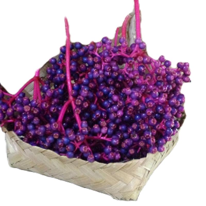 Buah Parijoto Muria Kudus Buah Parijoto Promil Berat 250 Gram Zuriat ...