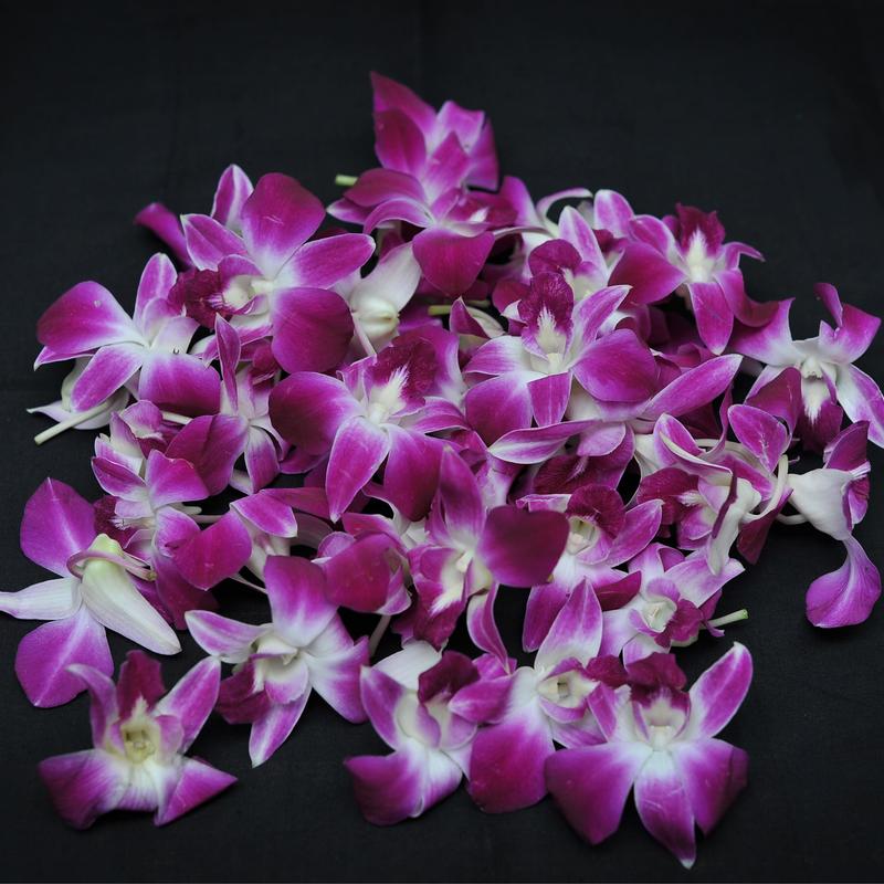 Fresh Loose Orkid flower 1/2kg - 1kg avaialable now - TikTok Shop Malaysia