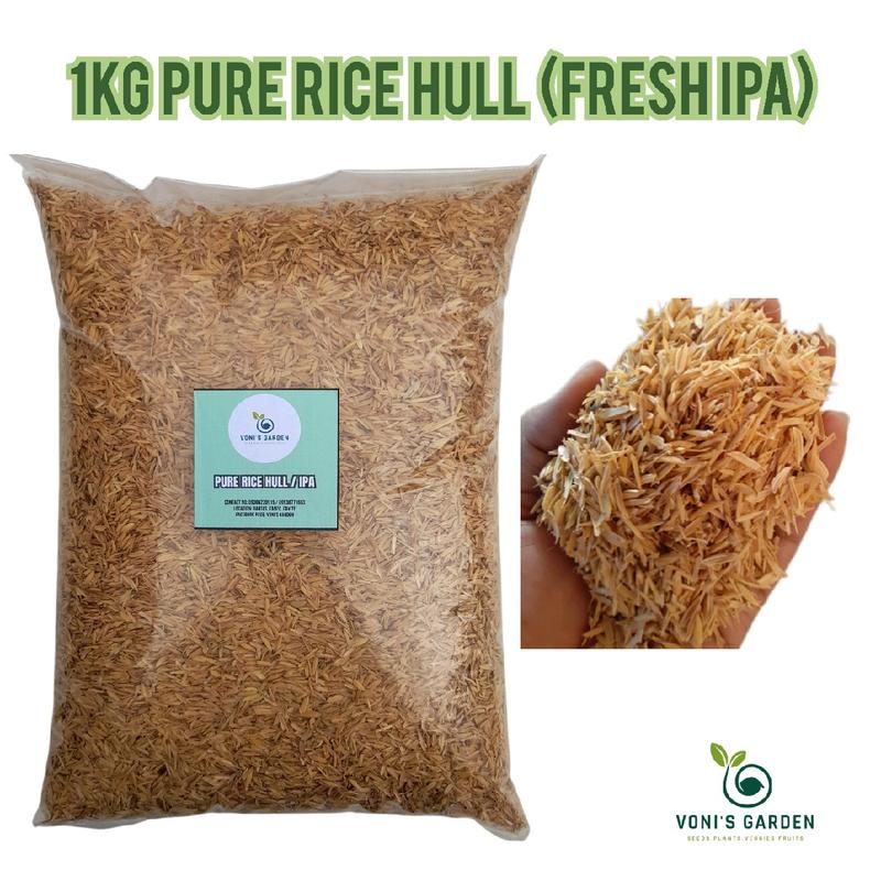 RICE HULL / IPA (1 KILO) FRESH - TikTok Shop Philippines