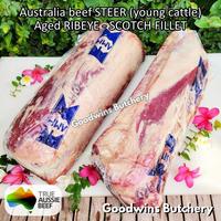 Jual Beef RIBEYE Australia STEER (young cattle) aged-frozen whole cuts ...