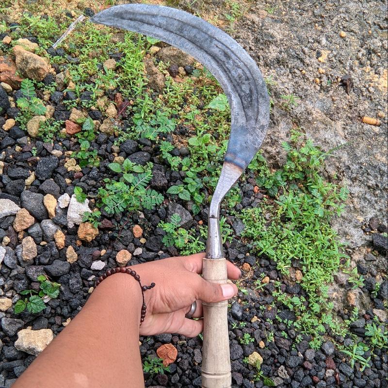 alat tani baja isein pengaritan padi dan rumput - Shop | Tokopedia