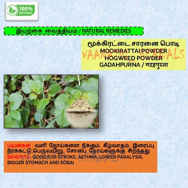 Mookirattai Powder / Hogweed Powder / Gadahpurna / மூக்கிரட்டை - TikTok ...