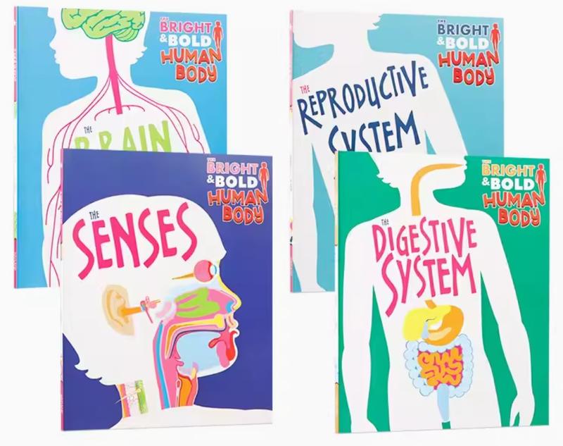 Original The Bright & Bold Human Body (4 Books) - TikTok Shop Singapore