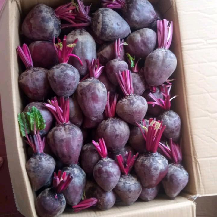 buah bit segar 1 kg untuk penambah darah - Shop | Tokopedia