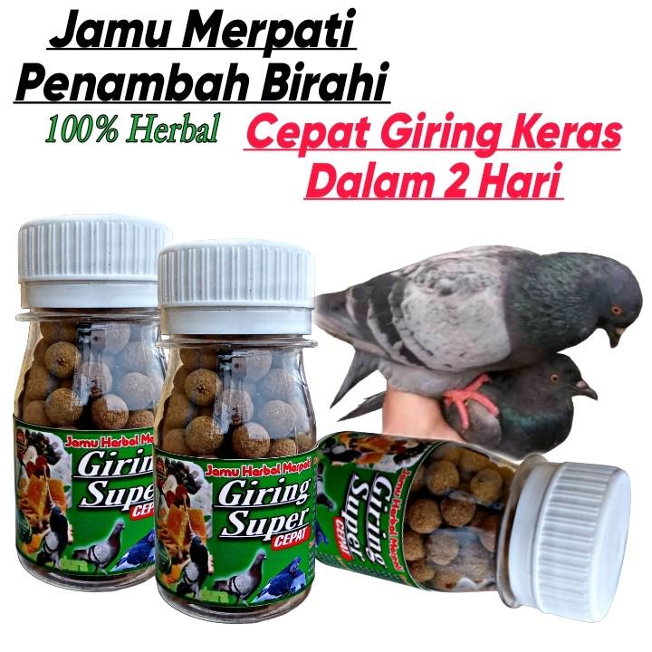 120 BUTIR PIL KUNING JAMU MERPATI SUPER GIRING KEKET KERAS paling ...